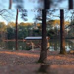 Beverly Brown Simms | Beverly Brown Simms' site